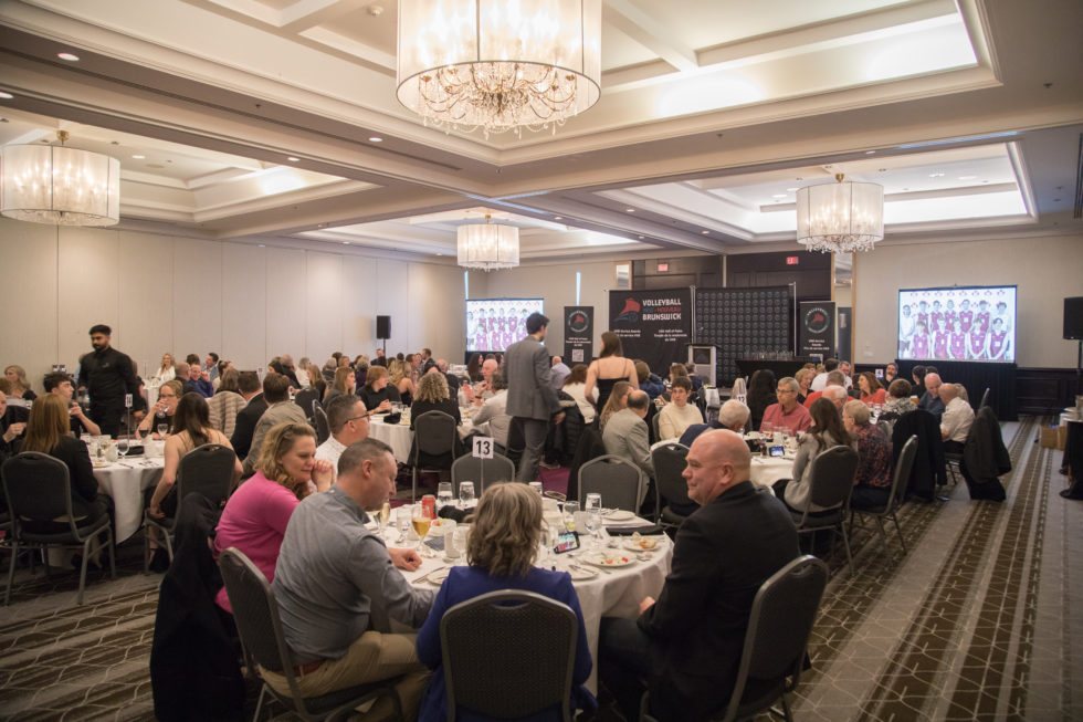 Newsletter February 2025 | Volleyball New Brunswick